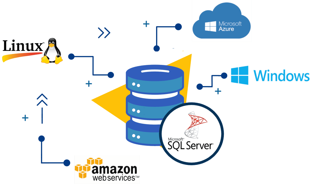 خرید لایسنس SQL سرور - لایسنس اورجینال SQL Server - نسخه اصلی و قانونی ...